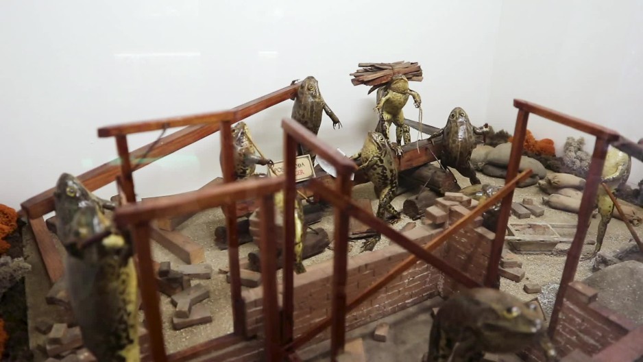 Static shot of stuffed frogs building in construction diorama | ClipStock