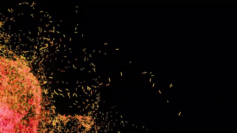 Twirling red petal particles spinning around from left side with black ...