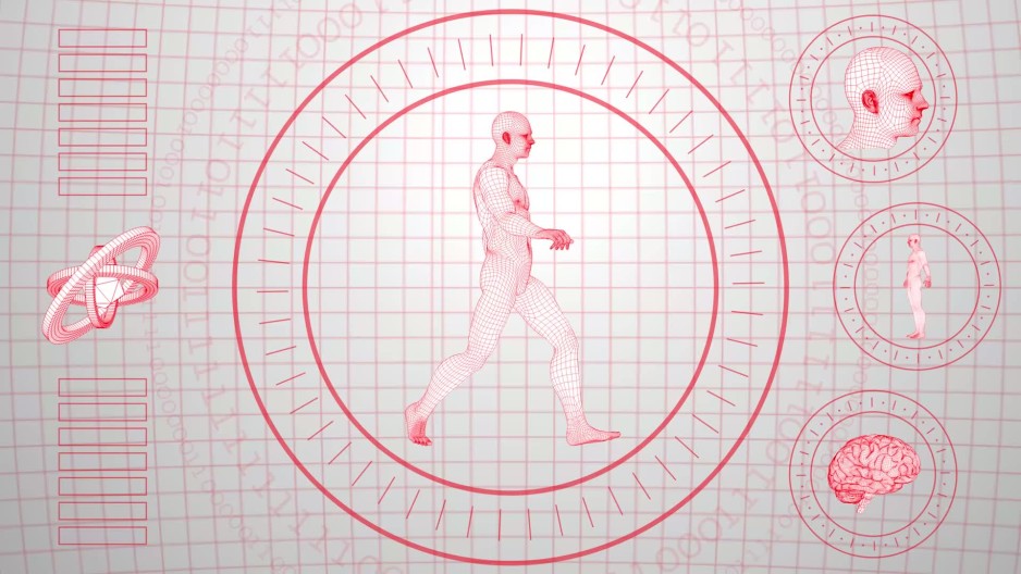 Monitor screen spinning graphical HUD human walking wireframe animation ...