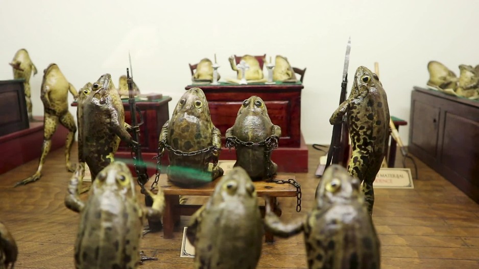 Static shot of stuffed frogs with shackles in court diorama | ClipStock