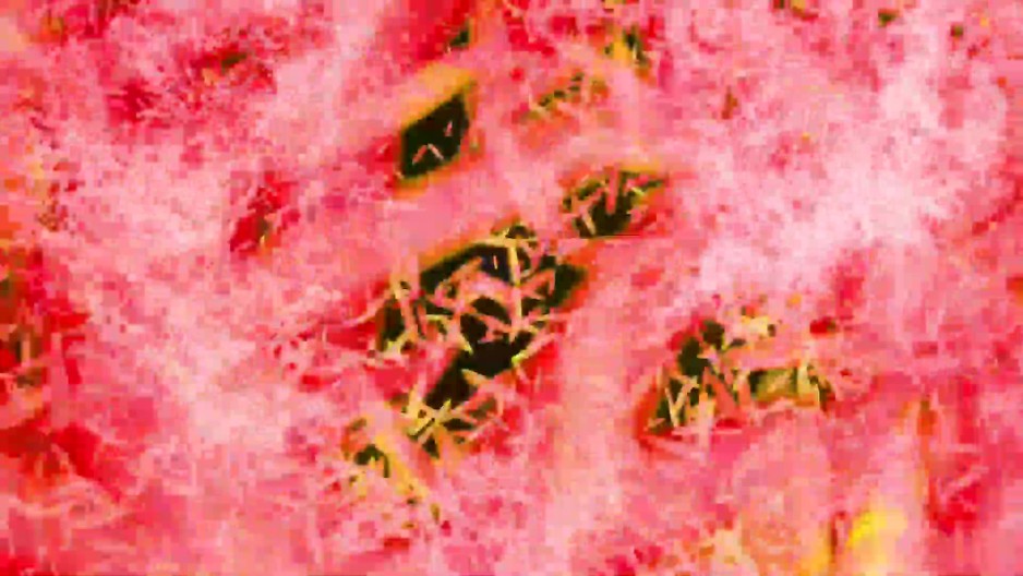 Twirling red petal particles falling down from above to fill black ...