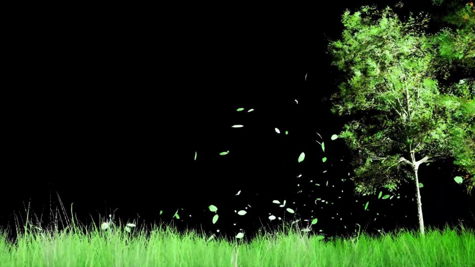 Realistic tree blowing animation with heavy winds in front of black ...