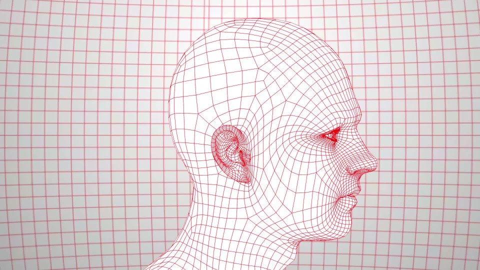 Spinning wireframe human head black monitor HUD animation | ClipStock